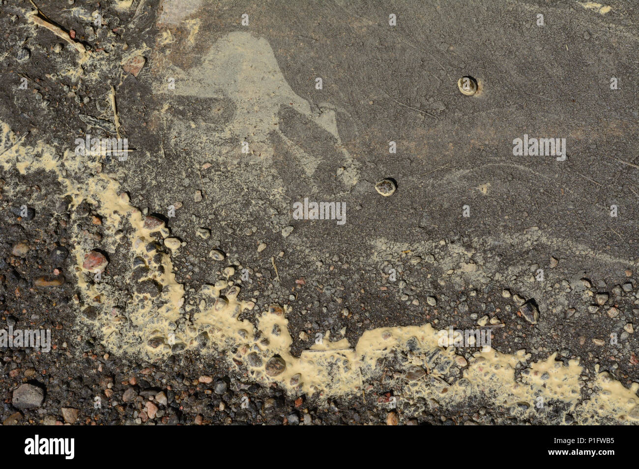 Yellow tree pollen dust on high pollen allergy day creating abstract ...