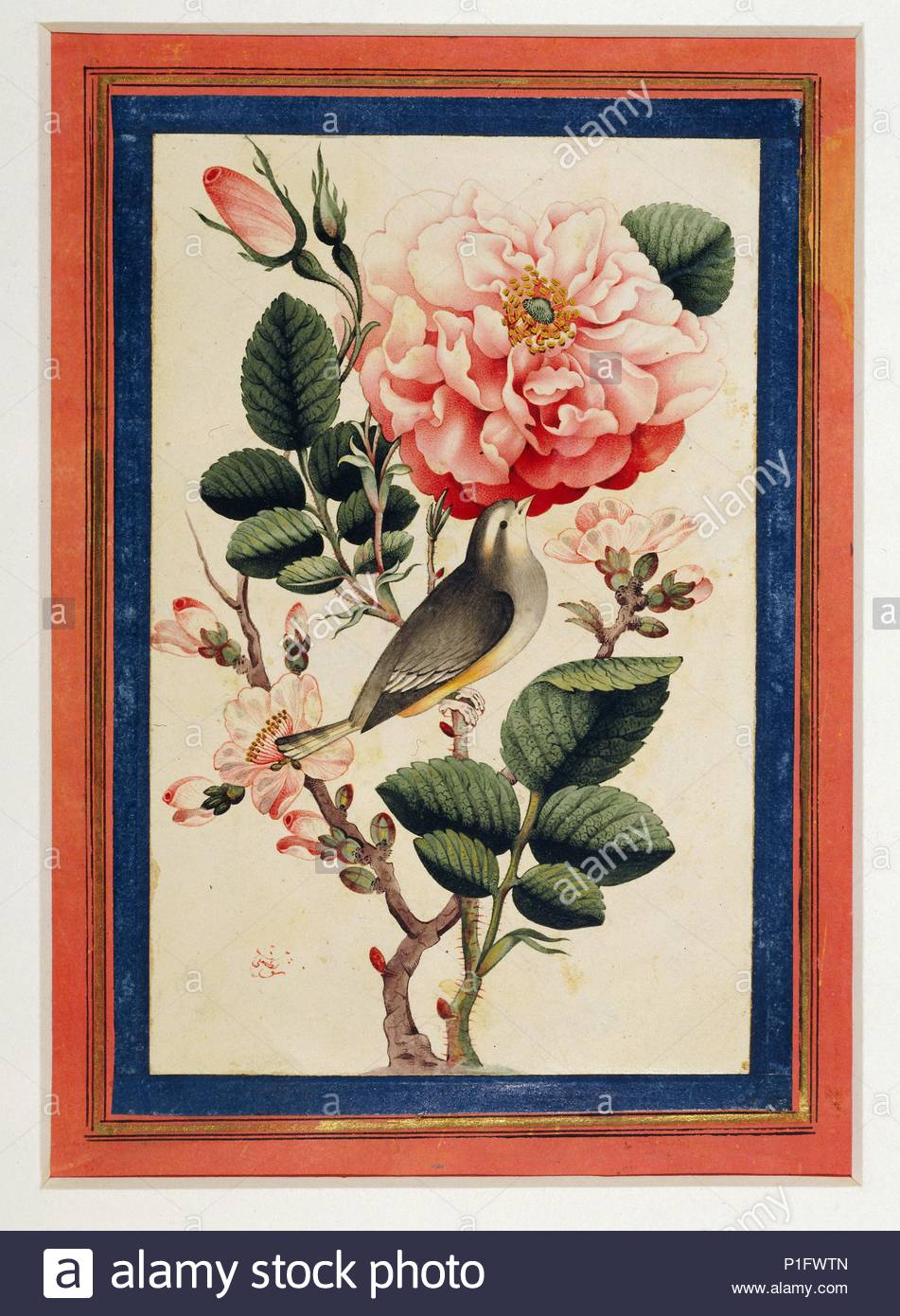 Nightingale Bird Art Stock Photos & Nightingale Bird Art Stock Images ...