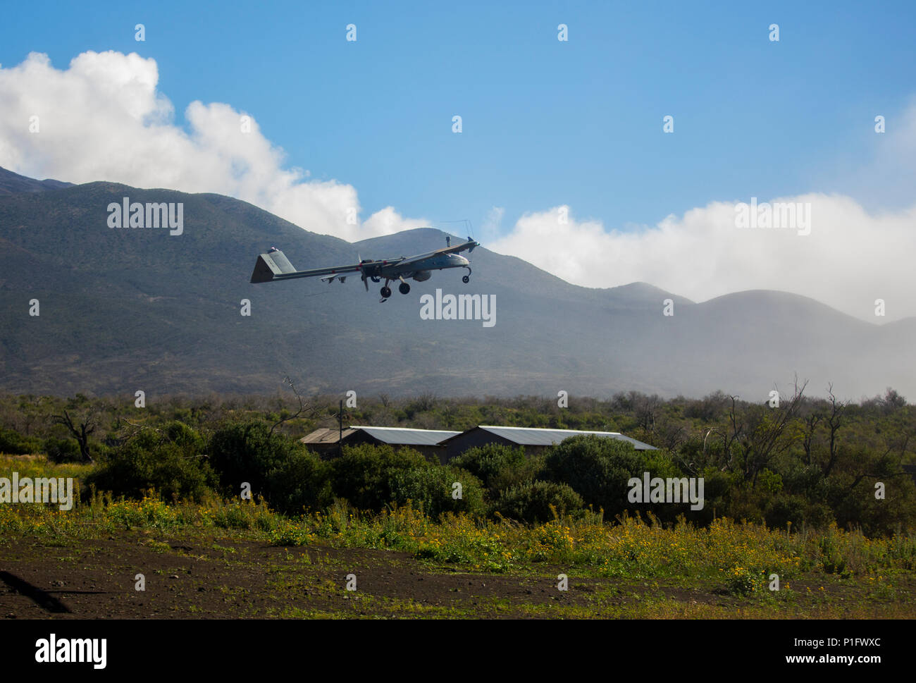 Ricky cooper hi-res stock photography and images - Alamy