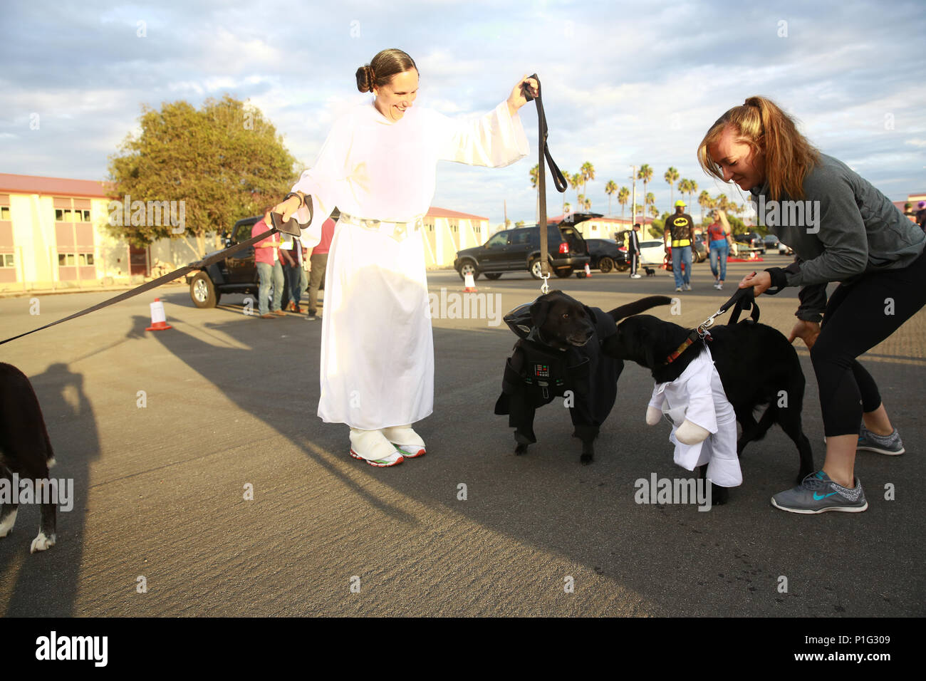 The force was with Col. Roberta Shea, commanding officer, I Marine ...