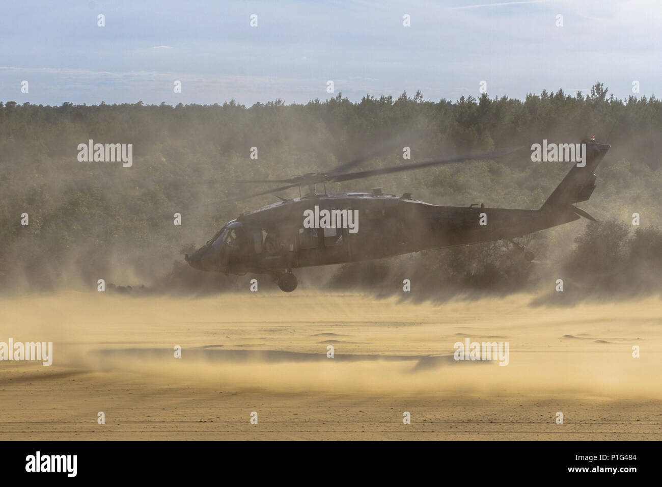 Company A, 2nd Battalion, 3rd Aviation Regiment aviators maneuver their ...