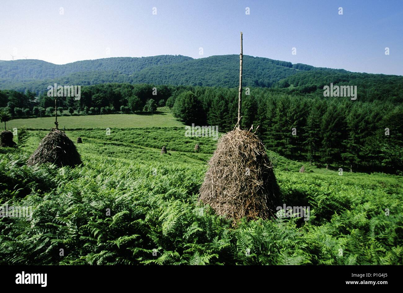 Leitza (navarra) hi-res stock photography and images - Alamy