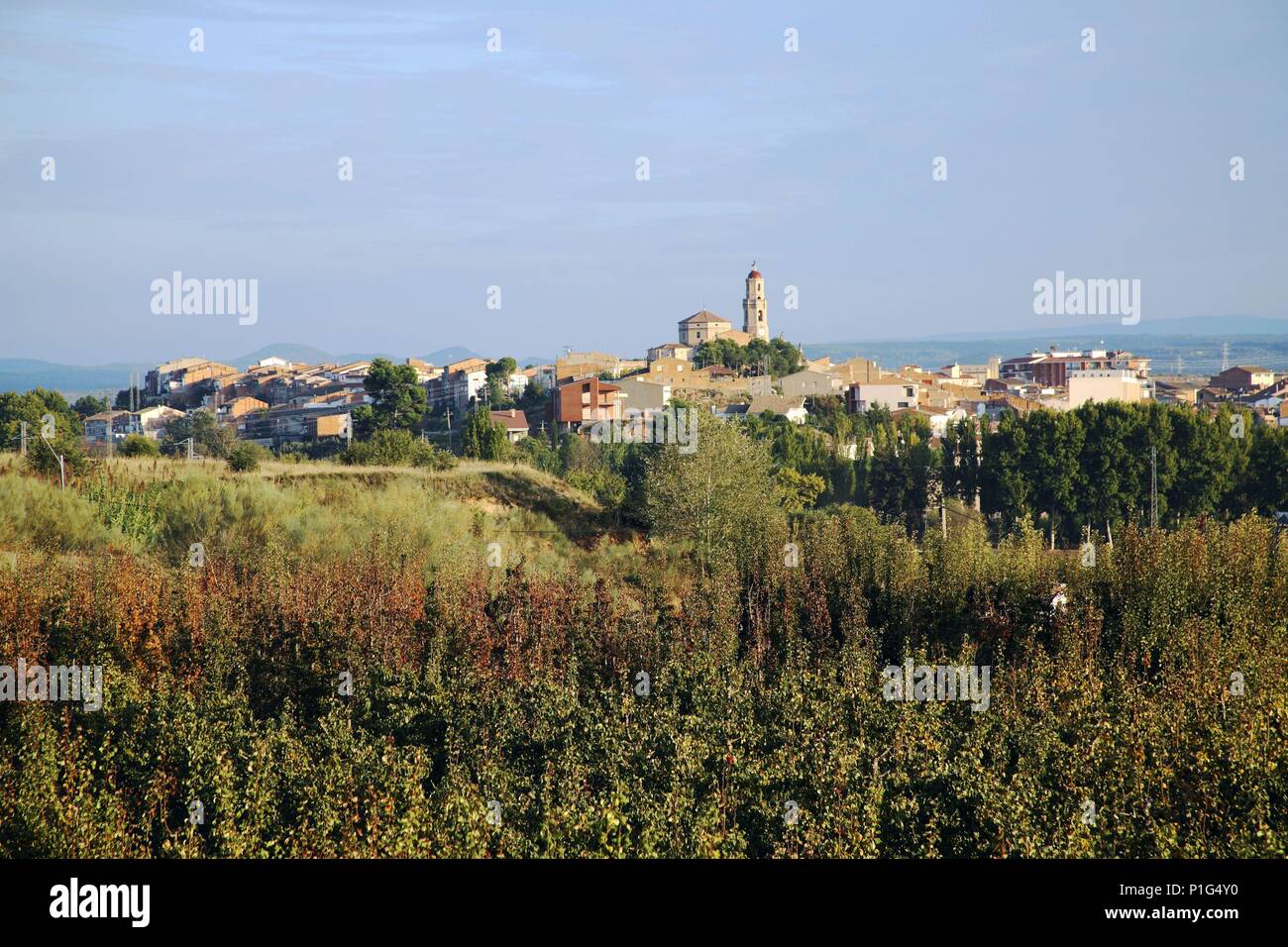 SPAIN - Catalonia - Garrigues (district) - Lerida. Les Borges Blanques ...