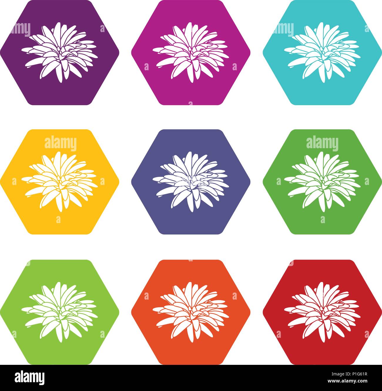 Aster flower icons set 9 vector Stock Vector Image & Art - Alamy