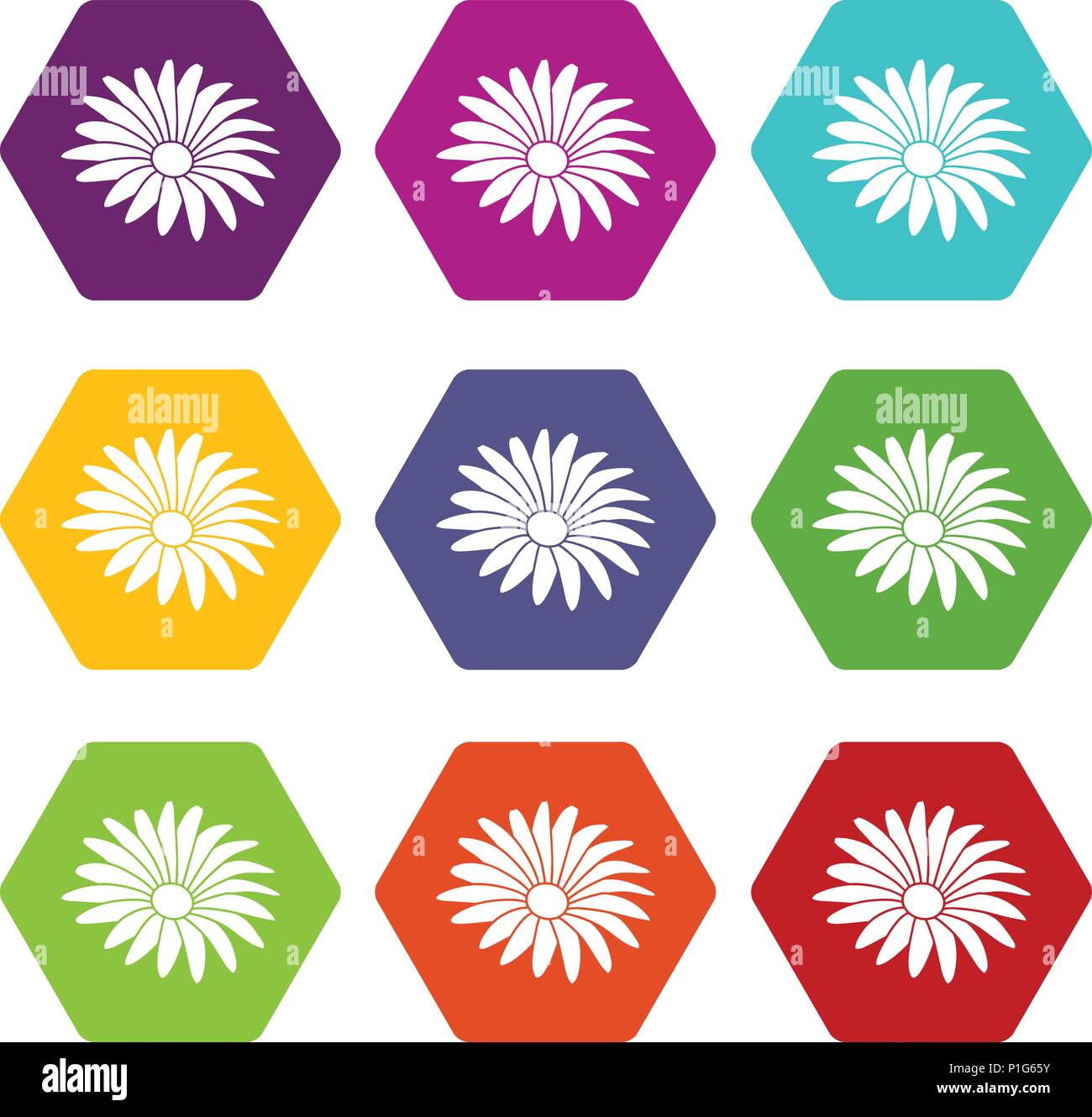 Gerber flower icons set 9 vector Stock Vector Image & Art - Alamy