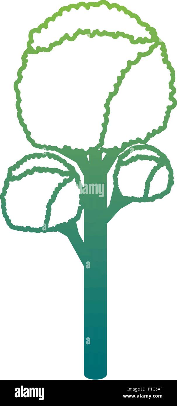 tree plant isometric icon Stock Vector Image & Art - Alamy