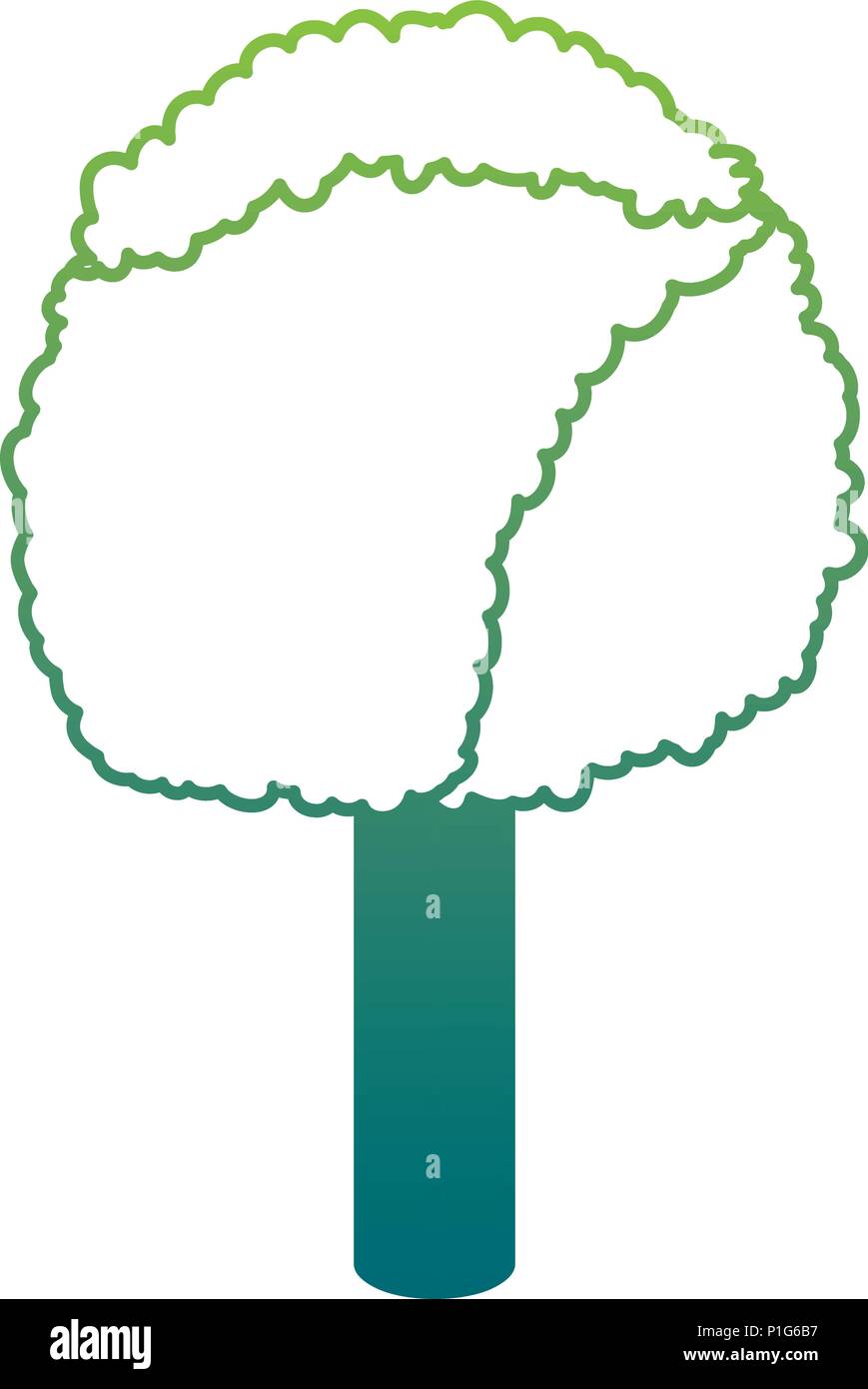 tree plant isometric icon Stock Vector Image & Art - Alamy