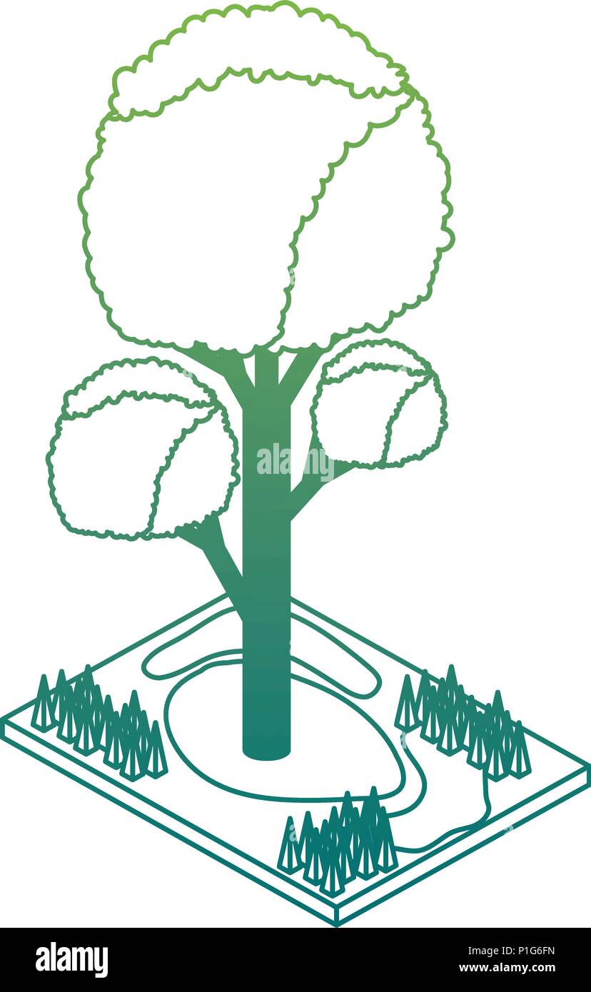tree plant isometric icon Stock Vector Image & Art - Alamy