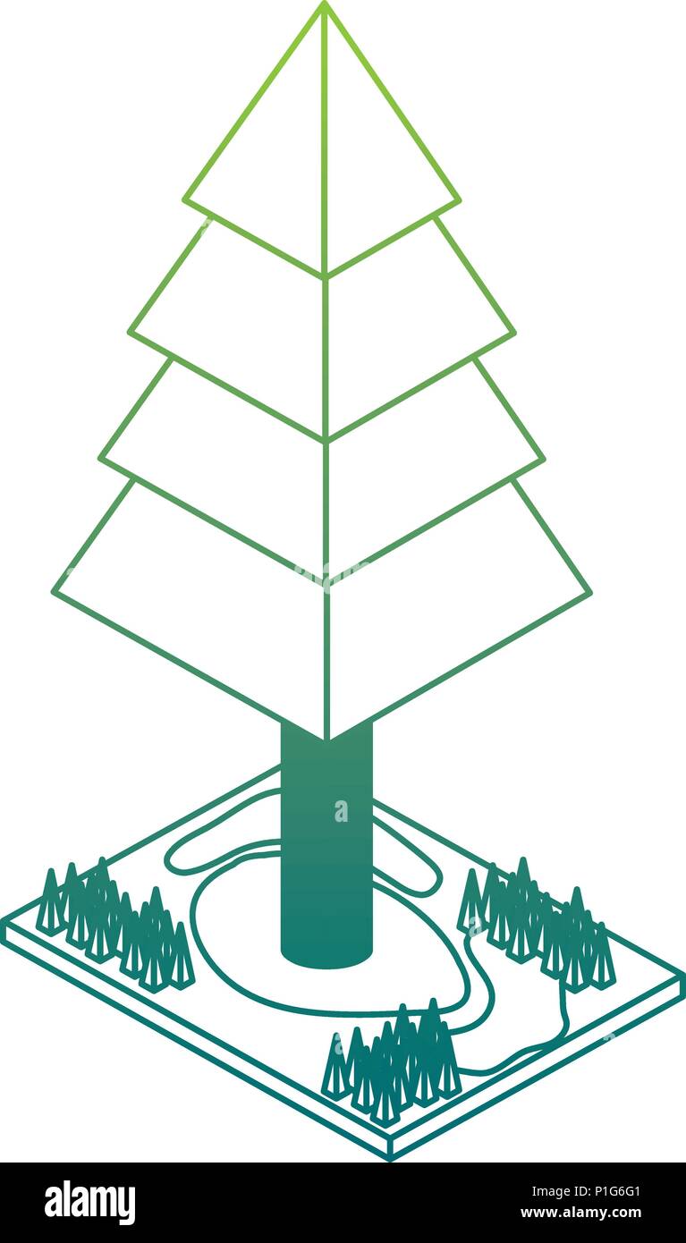pine tree plant isometric icon Stock Vector Image & Art - Alamy