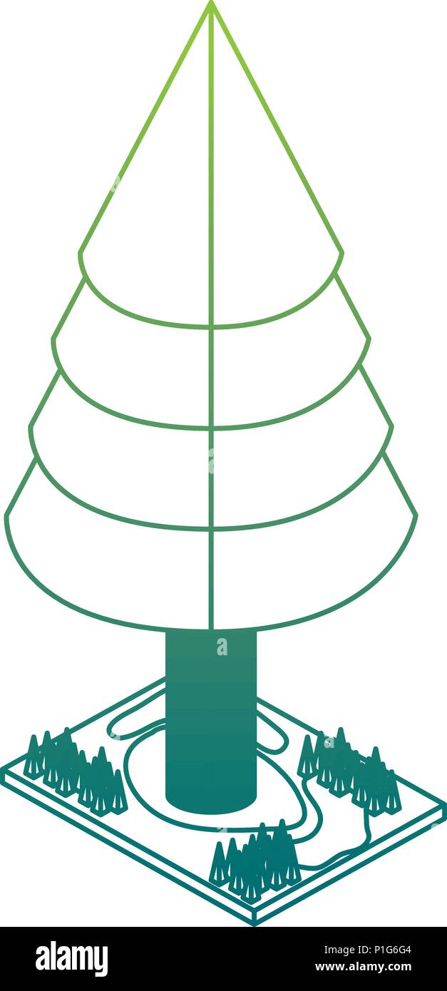 pine tree plant isometric icon Stock Vector Image & Art - Alamy