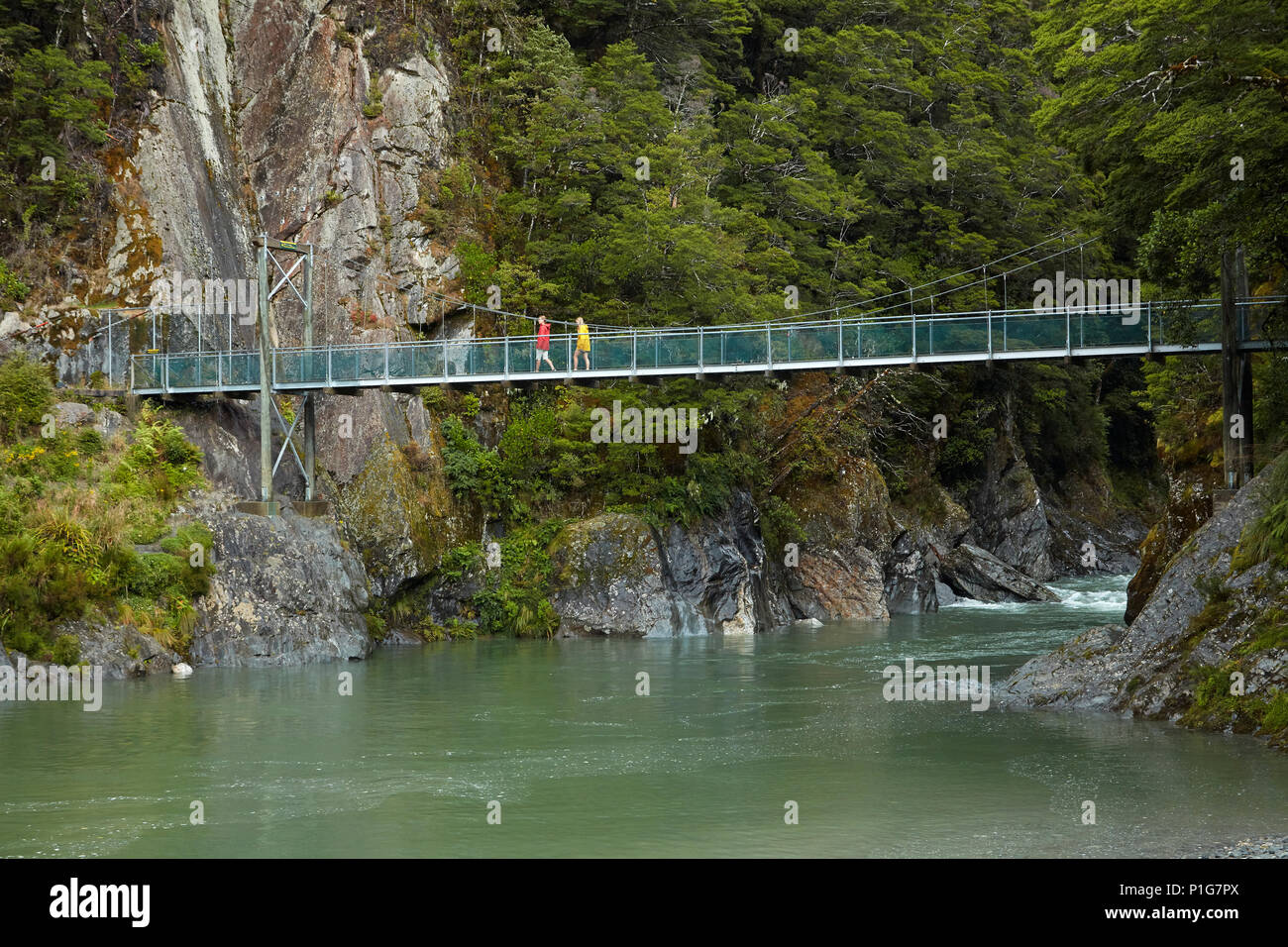 Makarora river new zealand hi-res stock photography and images - Alamy