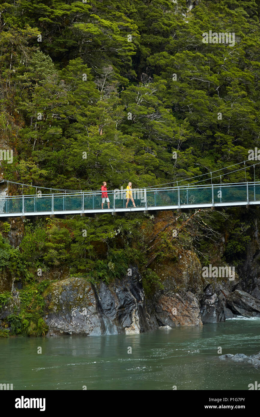 The blue pools of haast swing bridge hi-res stock photography and ...