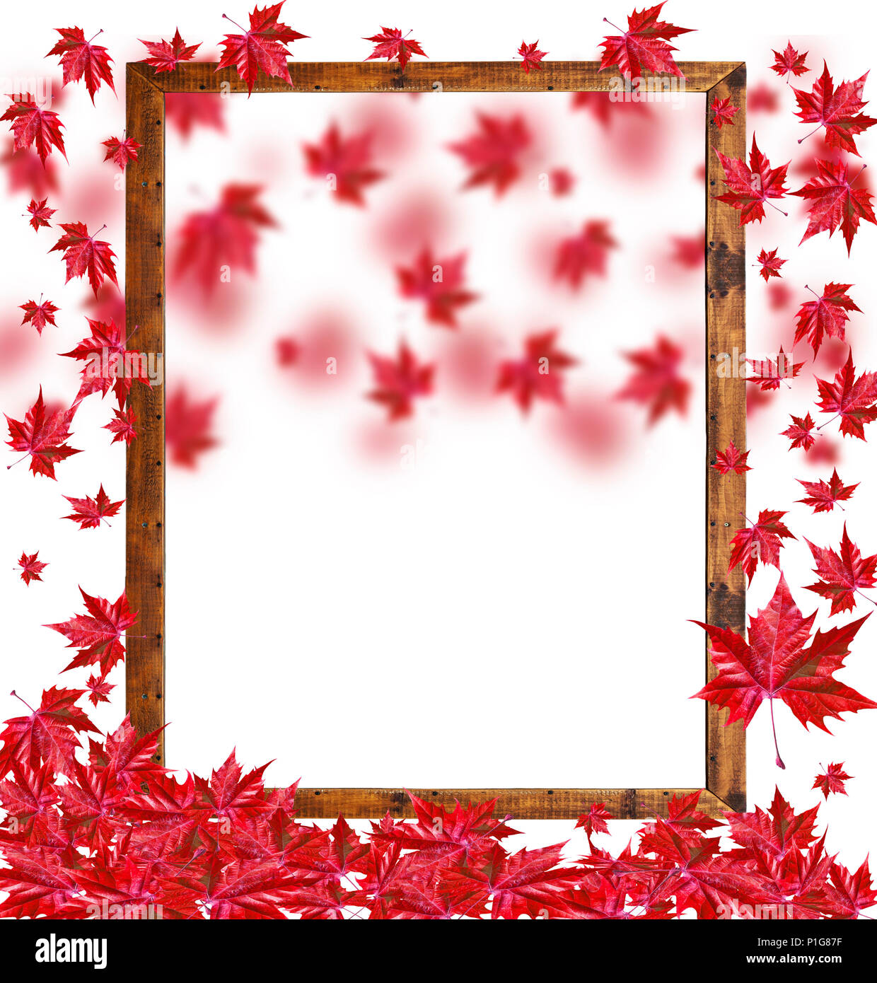 Autumn falling leaves on empty wooden frame isolated on white ...