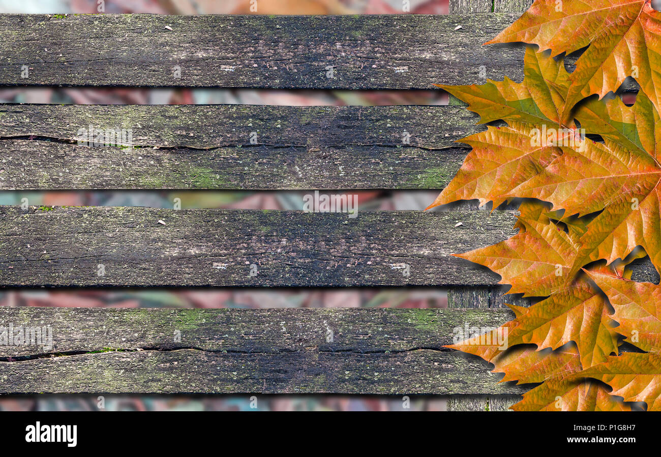 Autumn background with colorful leaves on wooden board Stock Photo - Alamy