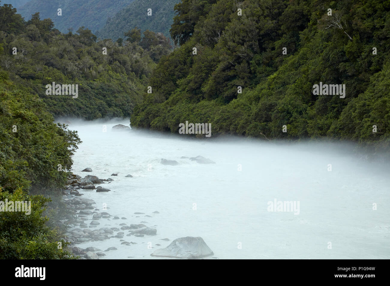 Mist over Cook River, near Fox Glacier, West Coast, South Island, New ...