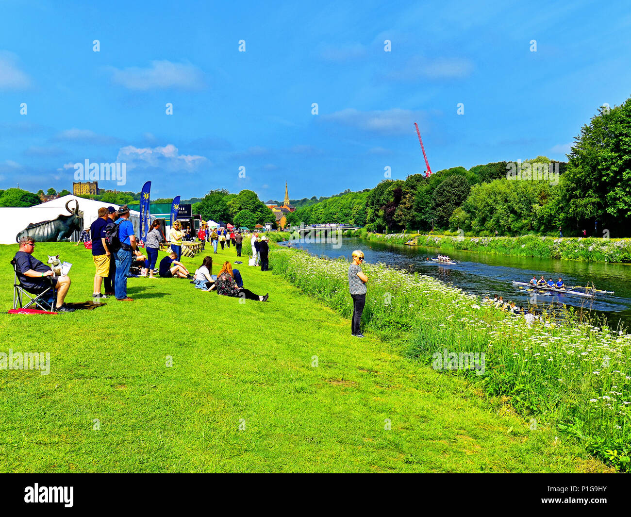 Durham regatta hi-res stock photography and images - Alamy