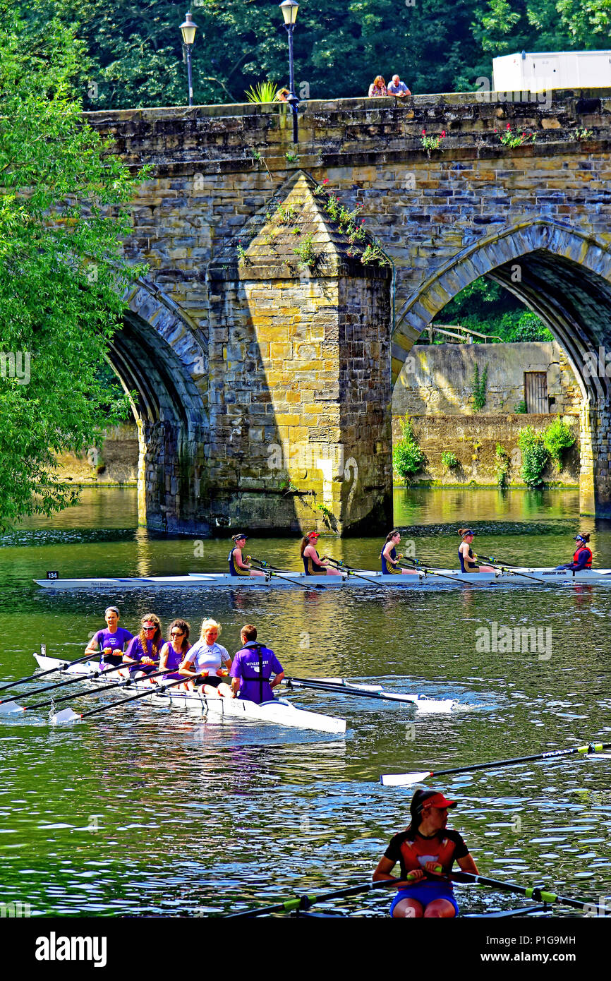 Racing sculls hi-res stock photography and images - Alamy