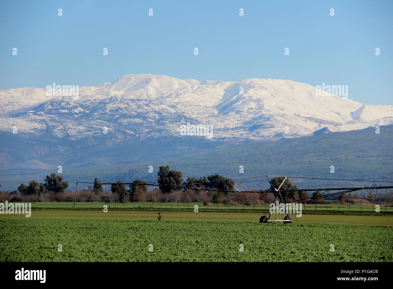 Lake hula Israel, hula nature reserve Stock Photo - Alamy