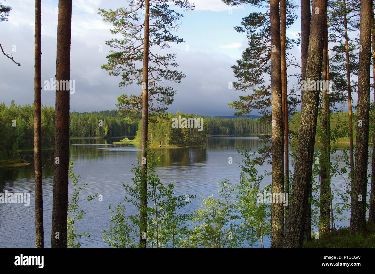 Dalarna region hi-res stock photography and images - Alamy