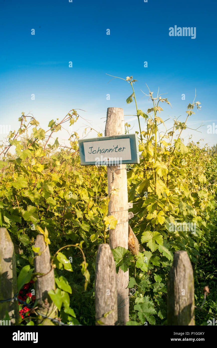 The johanniter hi-res stock photography and images - Alamy