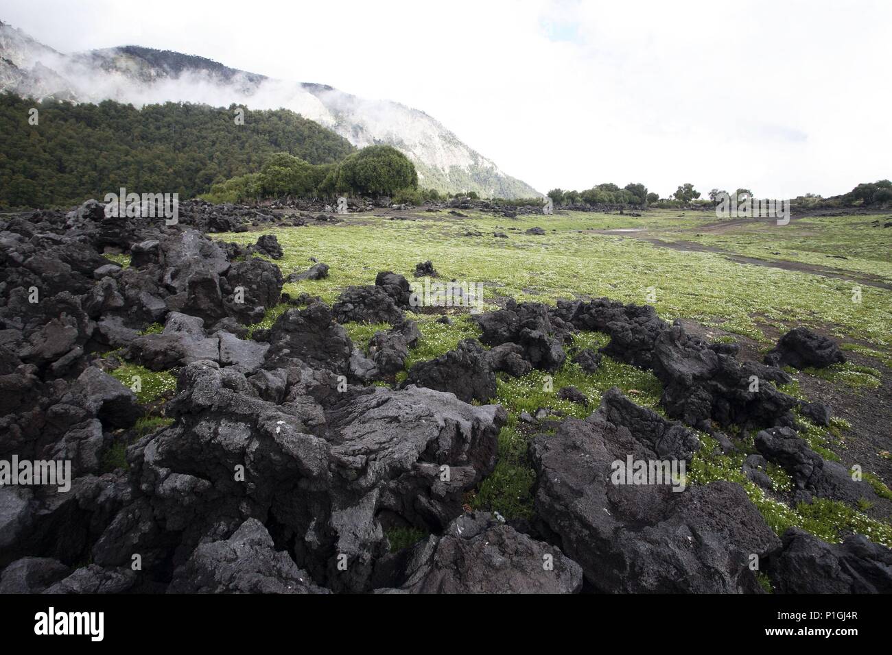 zona de escoria volcánica del volcán LLaima y paisaje Stock Photo - Alamy