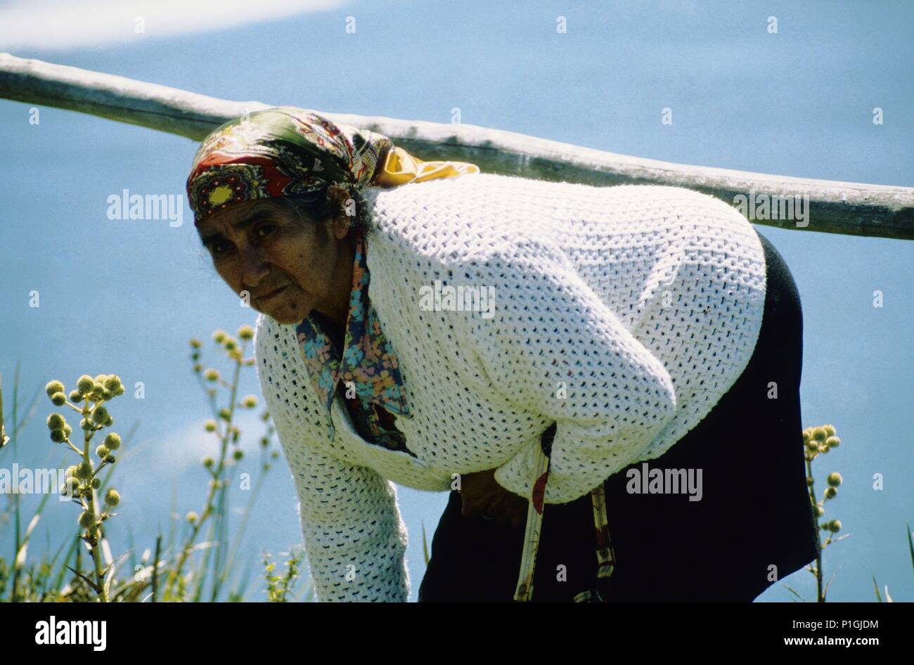 Mujer mapuche hi-res stock photography and images - Alamy