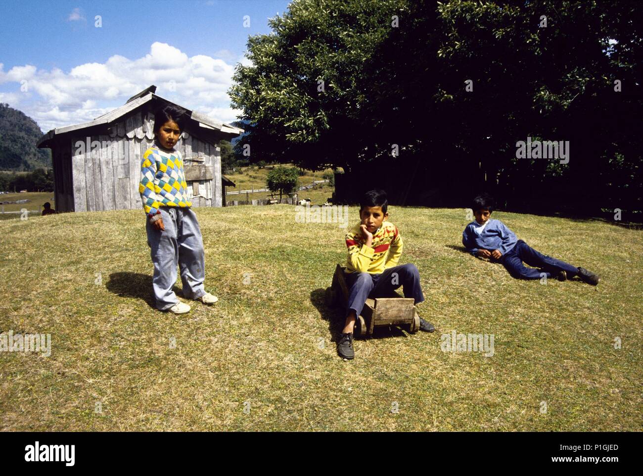 Etnia mapuche hi-res stock photography and images - Alamy