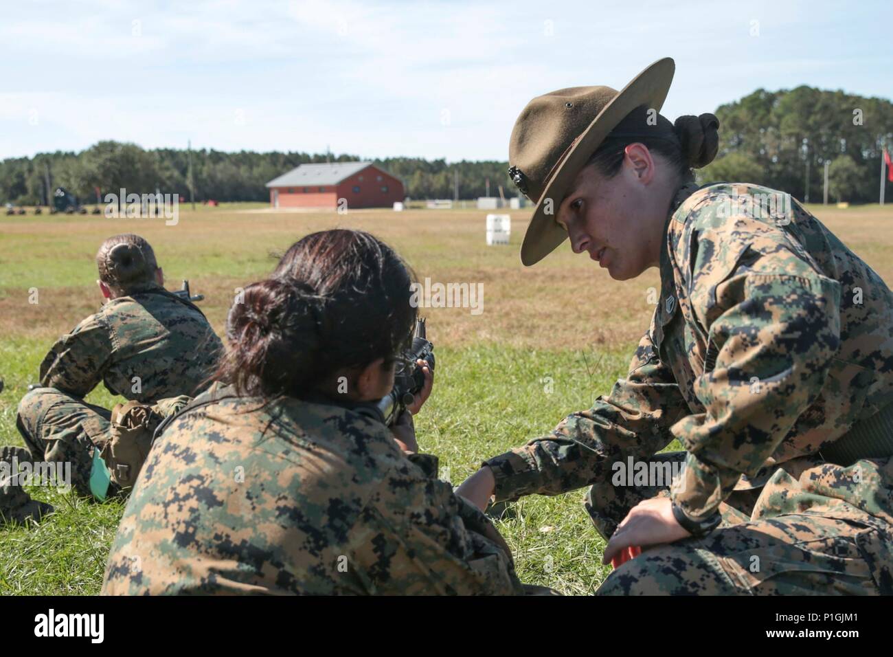 Parrott rifle hi-res stock photography and images - Alamy