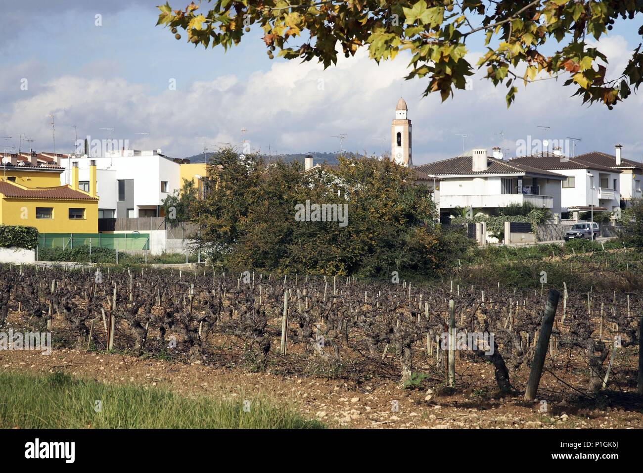 Castellvi de la marca hi-res stock photography and images - Alamy