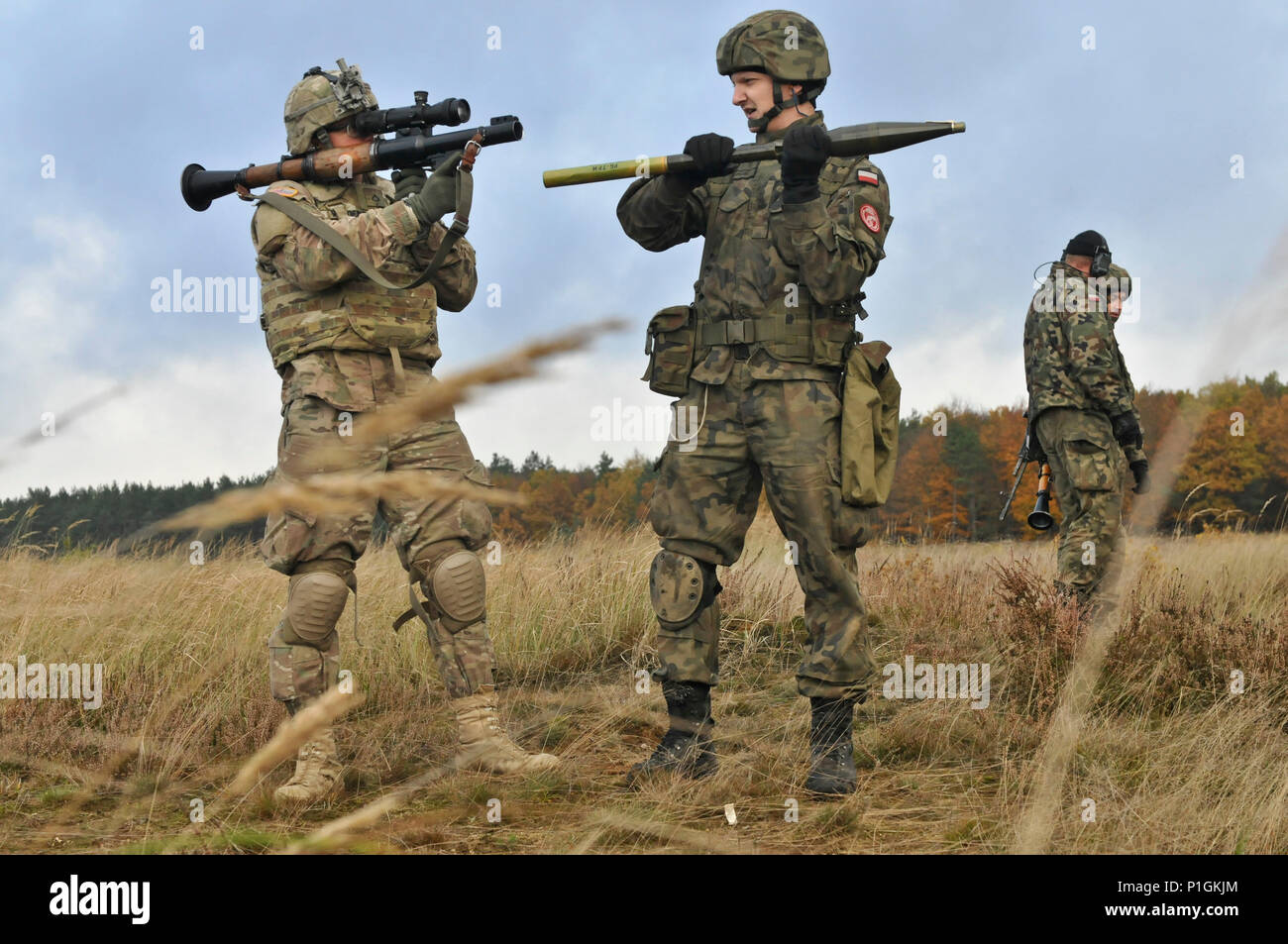 A Polish paratrooper assigned to the 16th Airborne Battalion, 6th ...