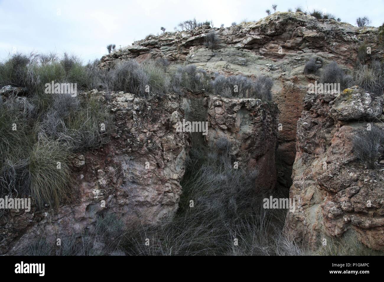 Celia spain hi-res stock photography and images - Alamy