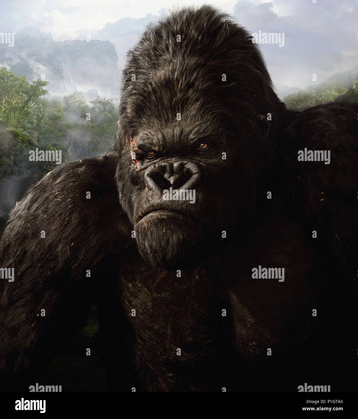 Gorilla pictures hi-res stock photography and images - Alamy