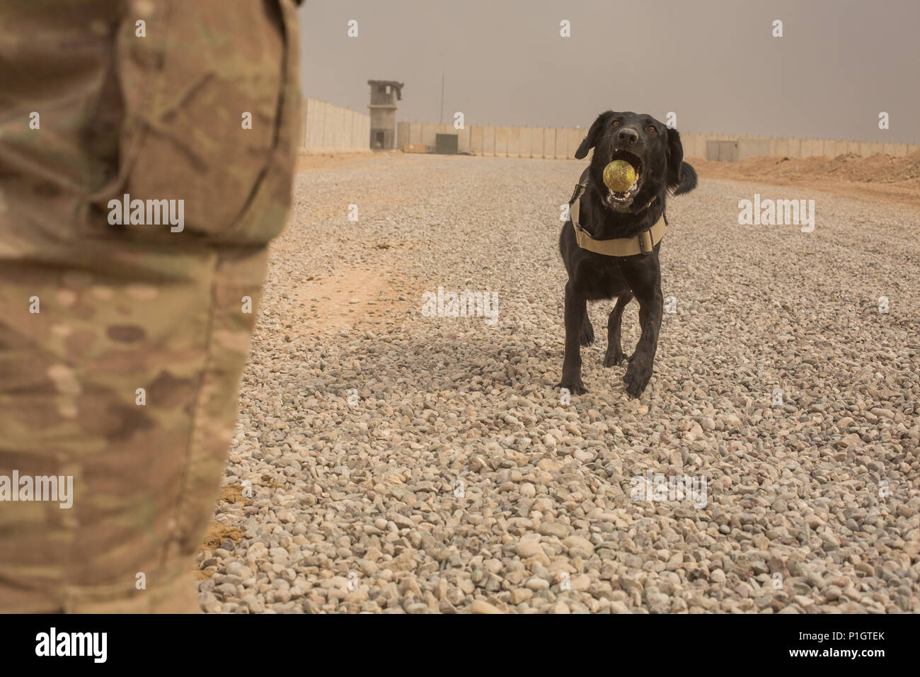 49th engineering detachment hi-res stock photography and images - Alamy
