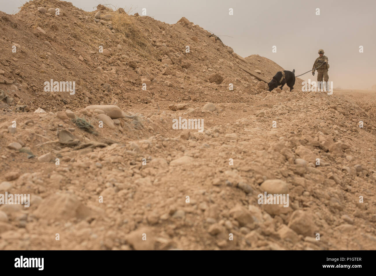 49th Engineering Detachment High Resolution Stock Photography and ...