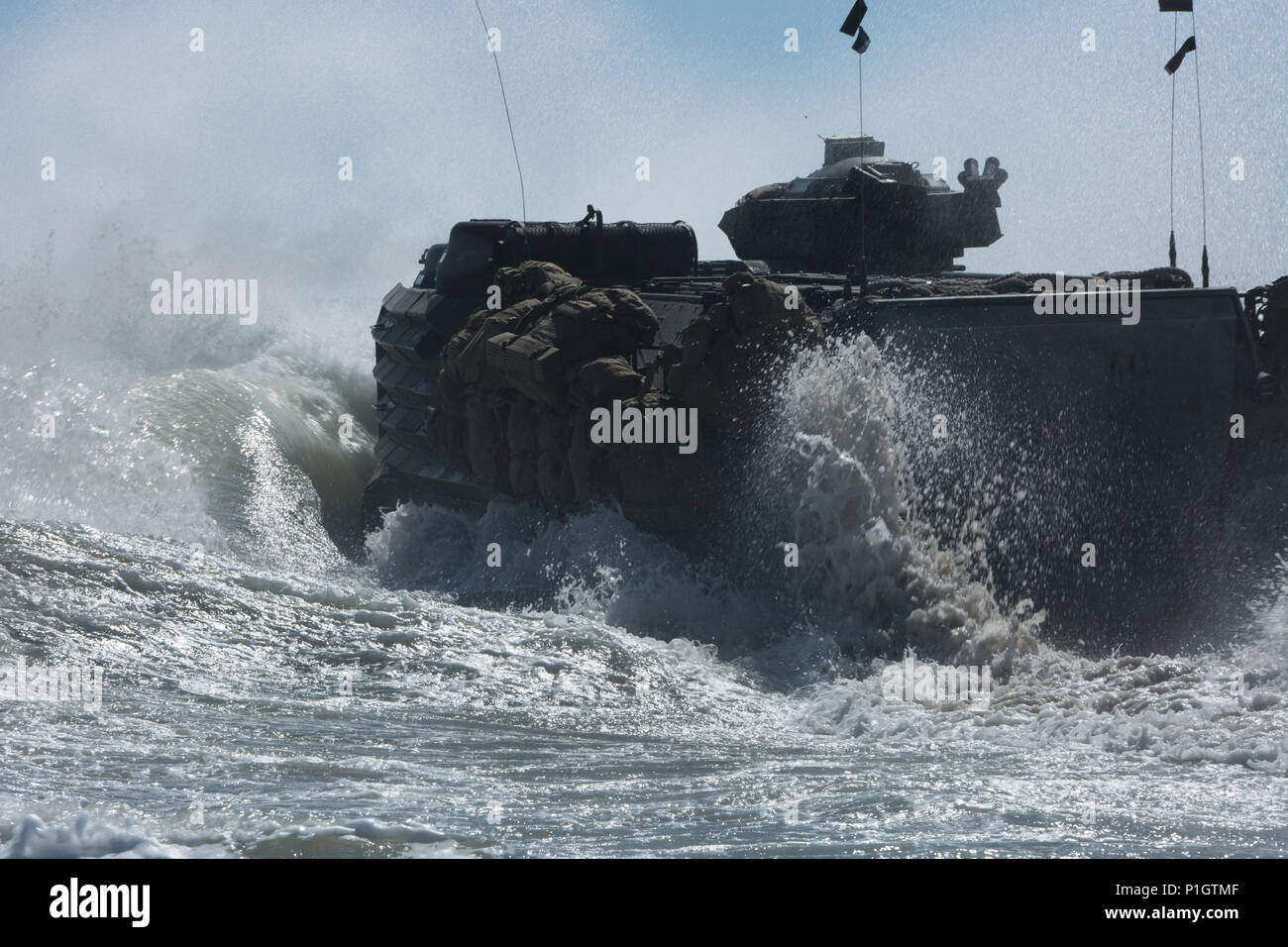 U.S. Marines with 2nd Assault Amphibian Battalion, 2nd Marine Division ...