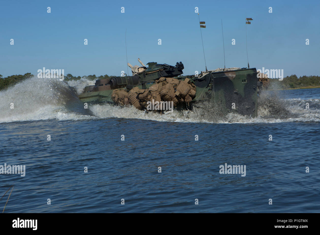 U.S. Marines with 2nd Assault Amphibian Battalion, 2nd Marine Division ...