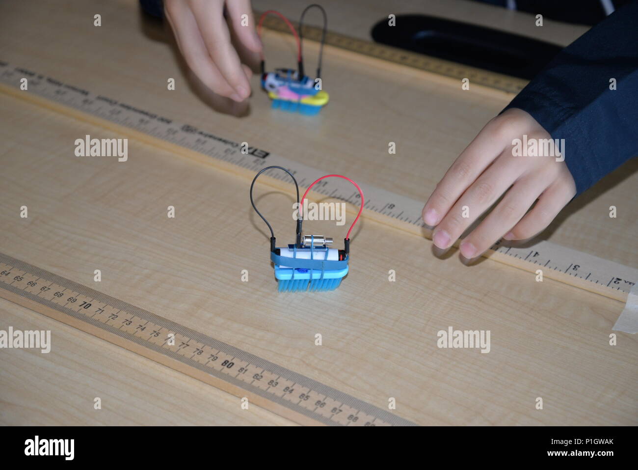 Bristlebot hi-res stock photography and images - Alamy