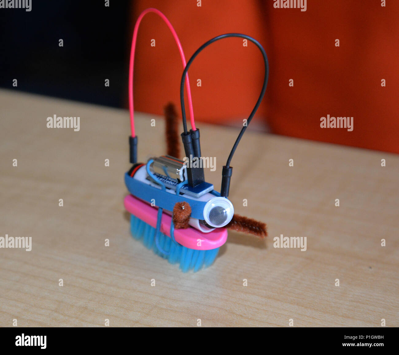 Bristlebot hi-res stock photography and images - Alamy