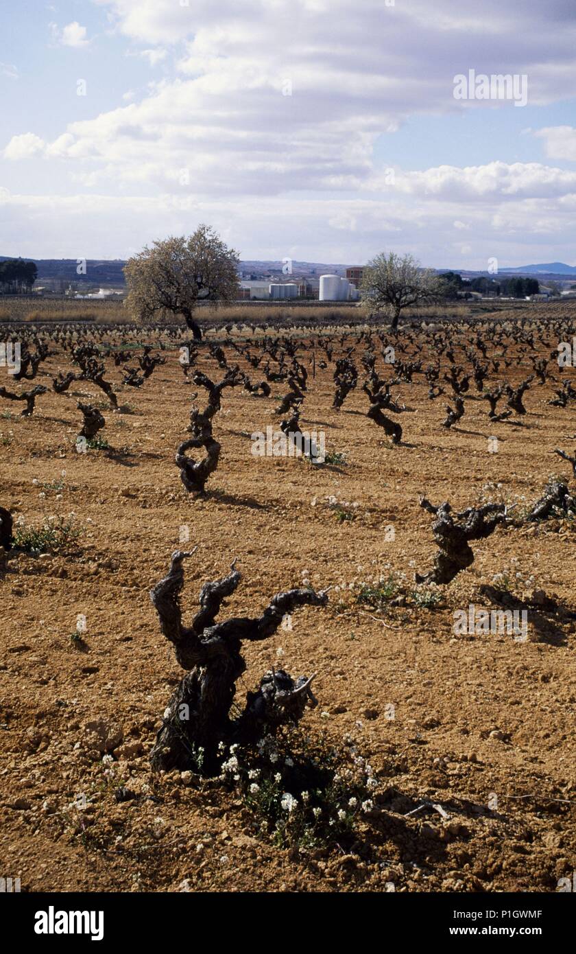 Requena utiel hi-res stock photography and images - Alamy