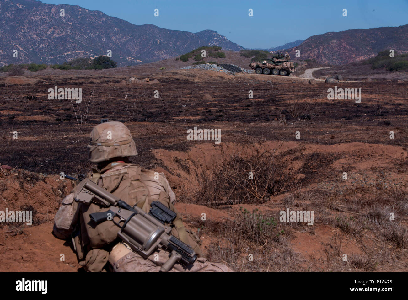 Lance Cpl. Seth Trunick, a scout rifleman with 1st Light Armored ...