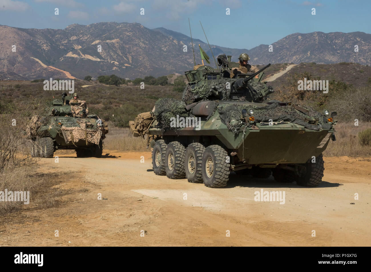 Light armored vehicles (LAV-25s), with 1st Light Armored Reconaissance ...