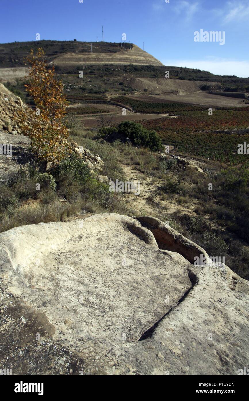 El mosto hi-res stock photography and images - Alamy