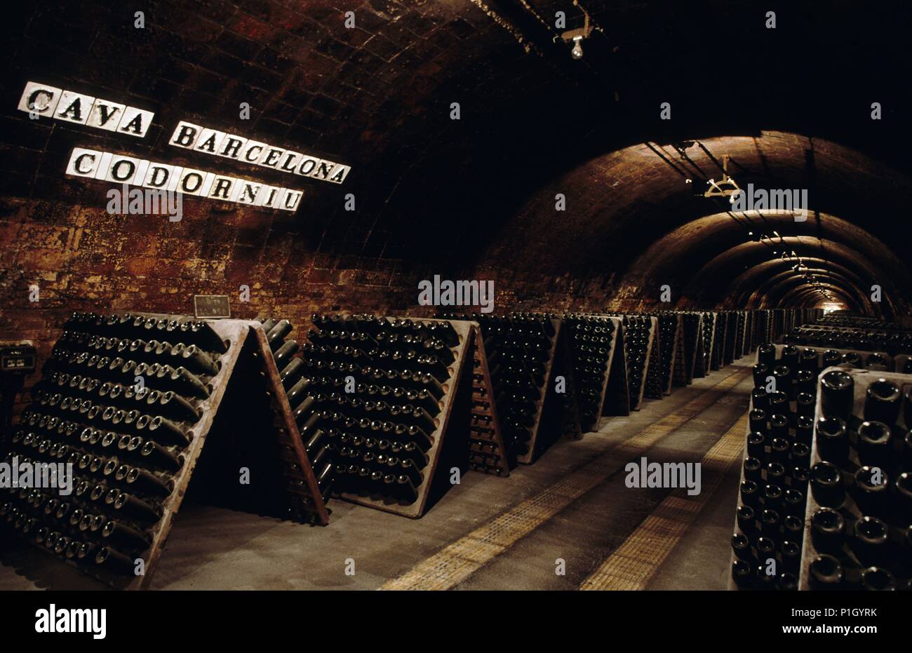 Codorniu bodega hi-res stock photography and images - Alamy