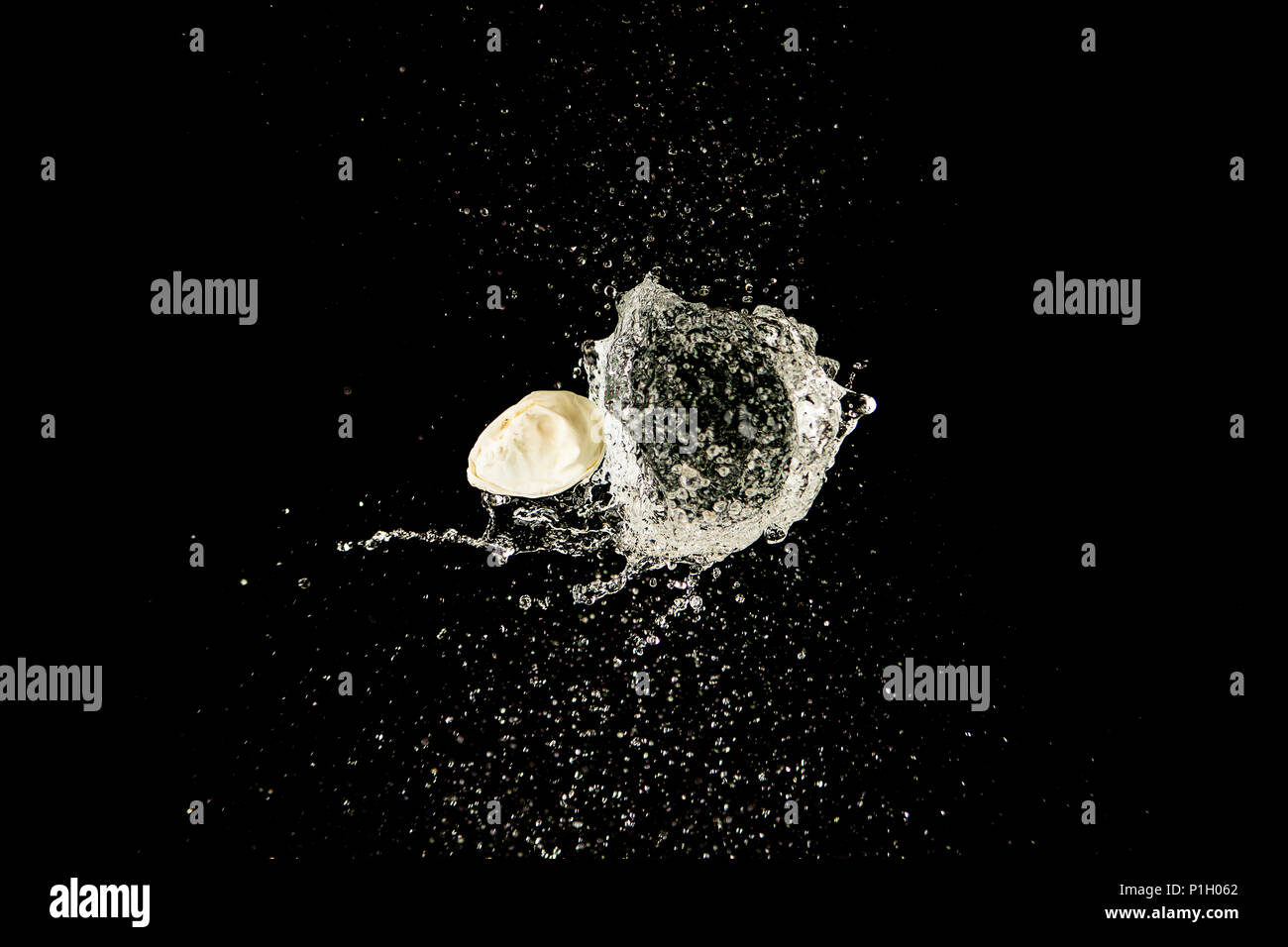 high-speed photograph of a balloon filled with exploding water Stock ...