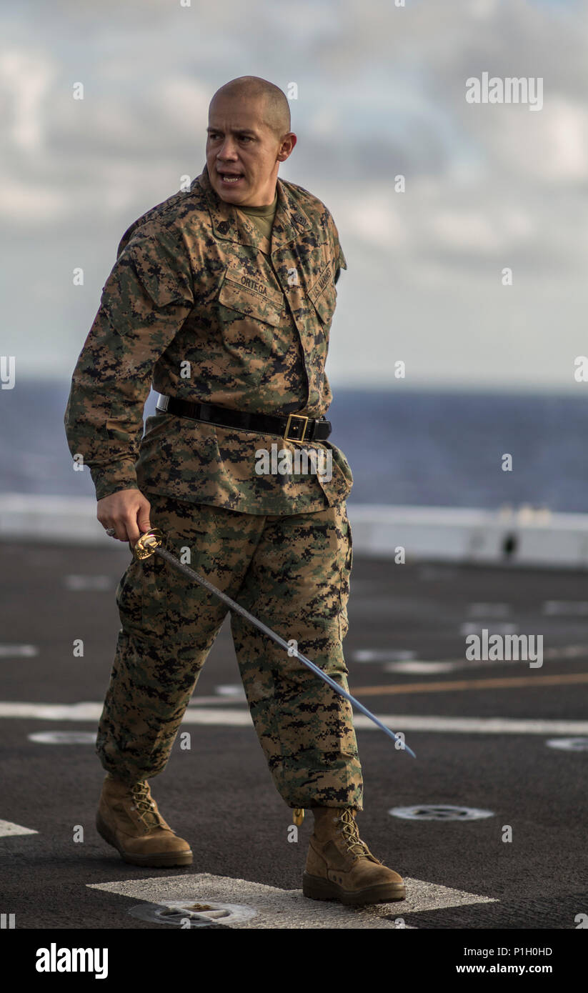 Francisco ortega hi-res stock photography and images - Alamy