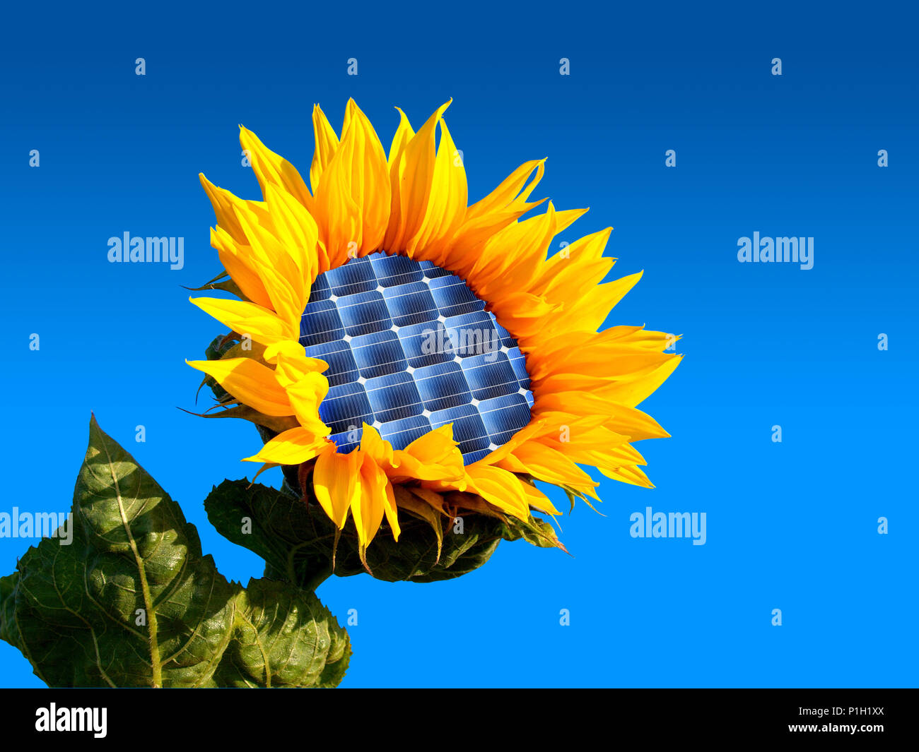 sunflower with solar energy, integration of environment and technology ...