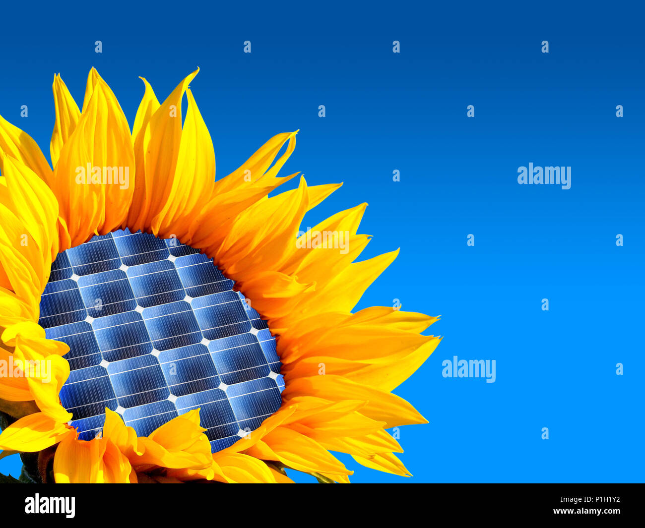 sunflower with solar energy, integration of environment and technology ...