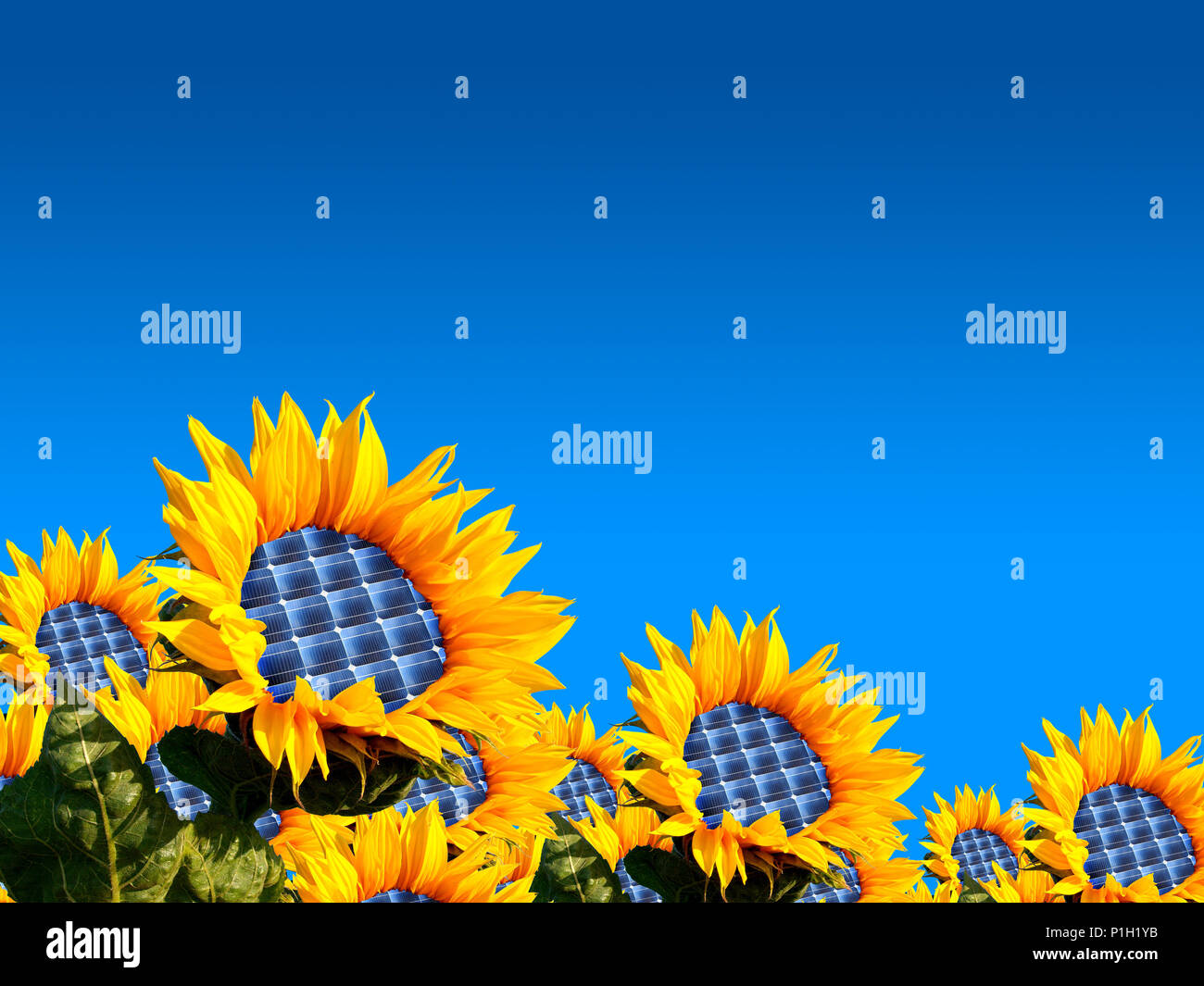 sunflower with solar energy, integration of environment and technology ...