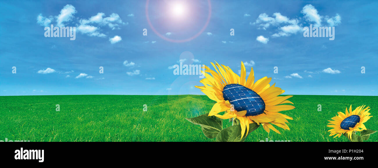 sunflower with solar energy, integration of environment and technology ...