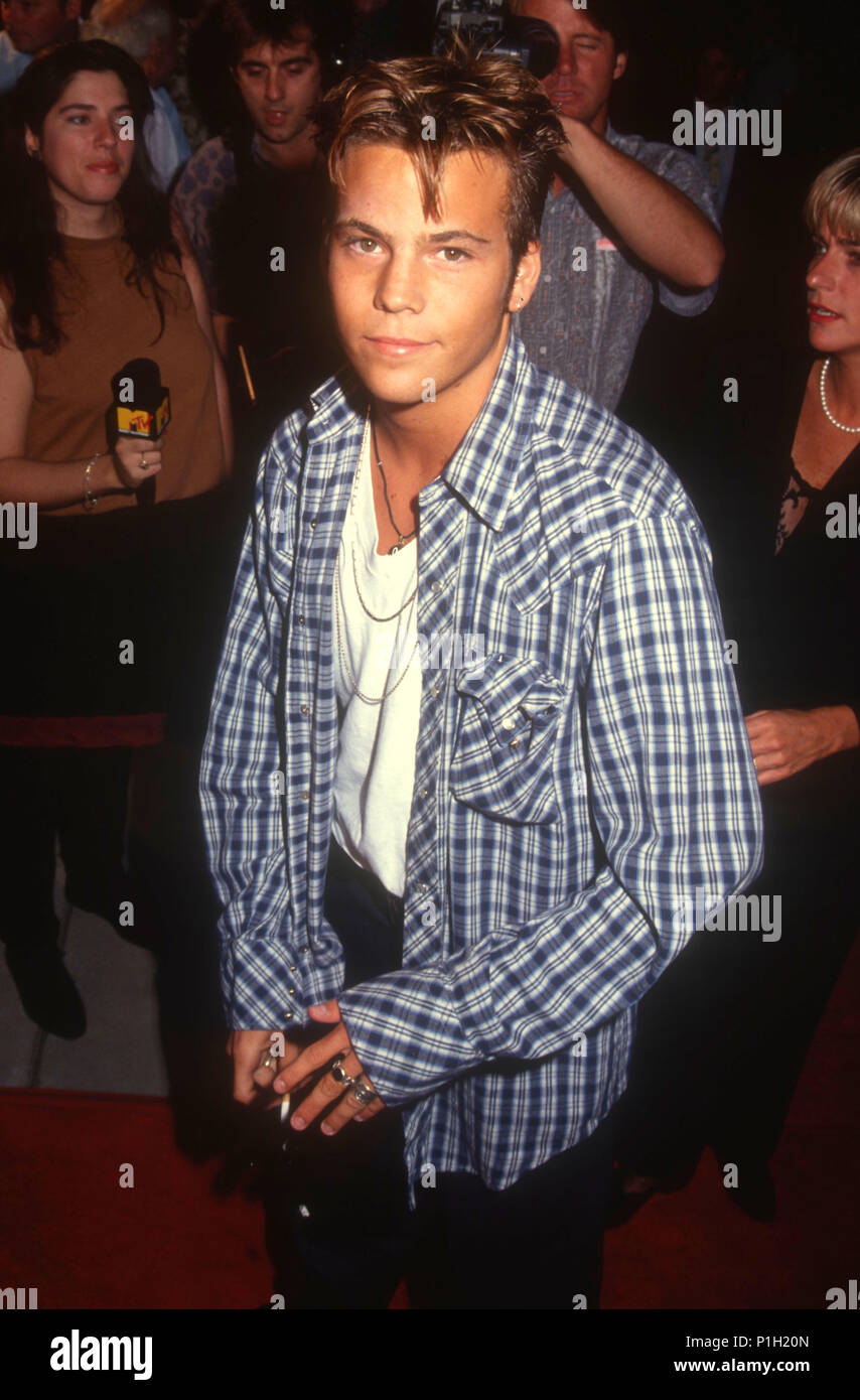 Stephen Dorff Young